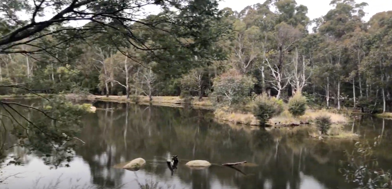 Tidbinbilla Nature Reserve - Can Do Cranes Canberra